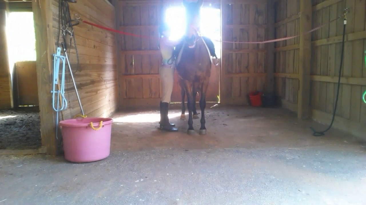 Tack up/untack with me - YouTube