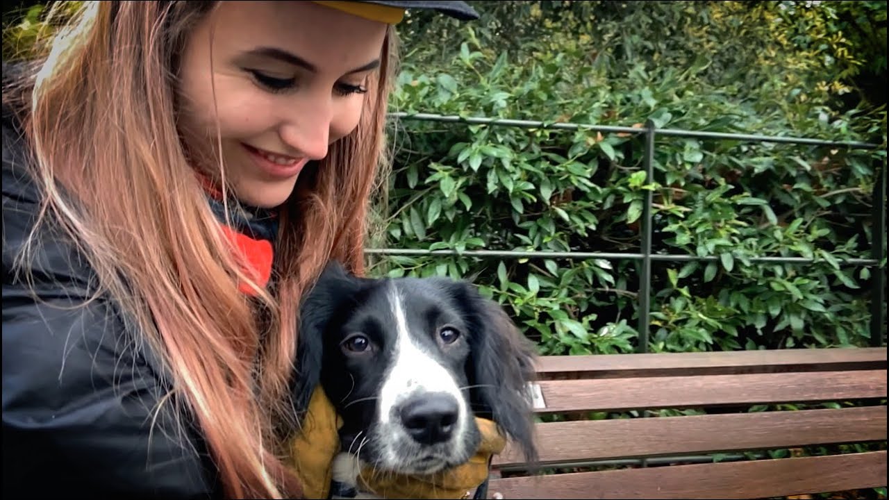 Fool For Love - Daniel Hewson and Rebecca Hollweg - YouTube