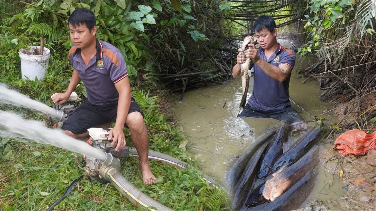 Modern fishing technology Use two large capacity pump Harvesting fish ...