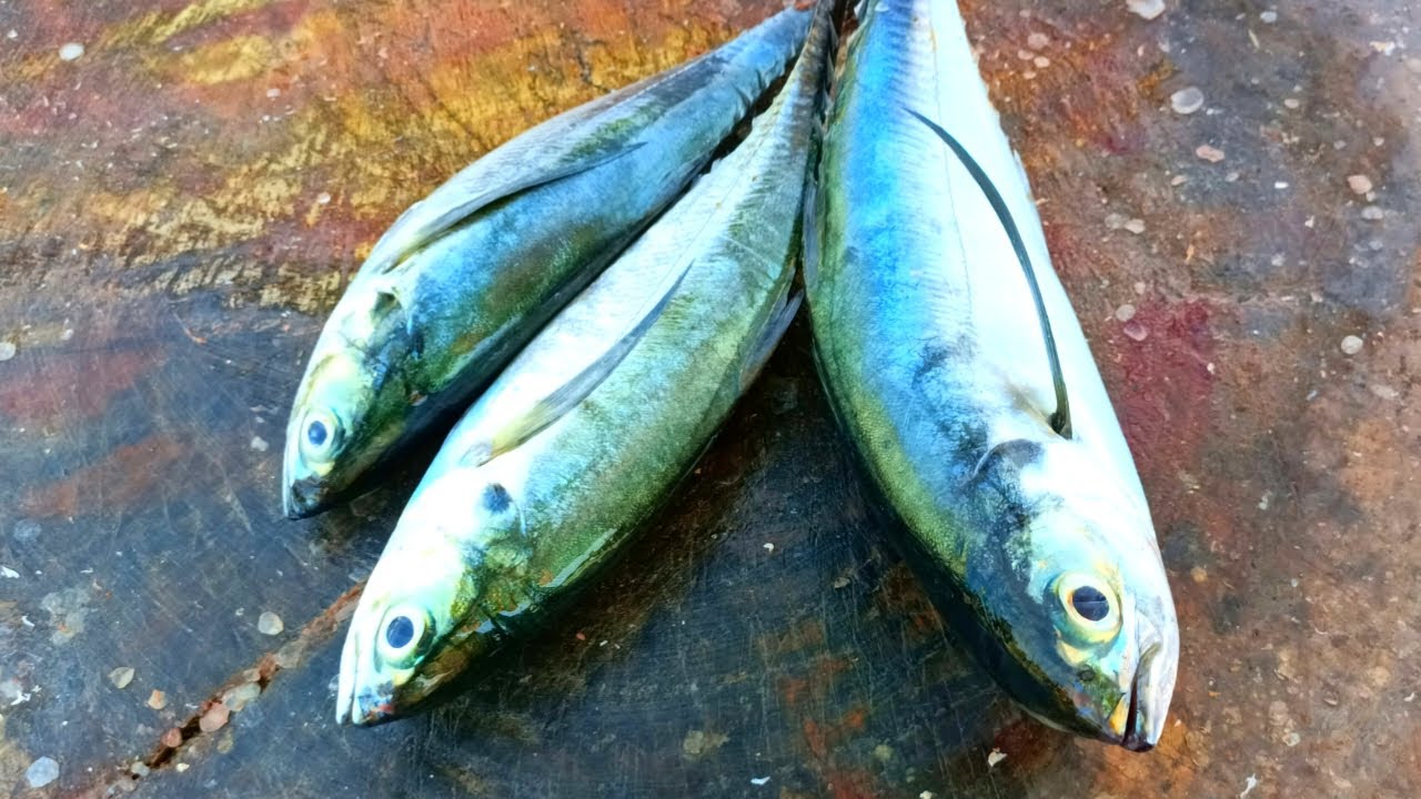 Kumara Paarai Meen | Expert Fish Cutter | cutting cost - 30 rupees | CT ...