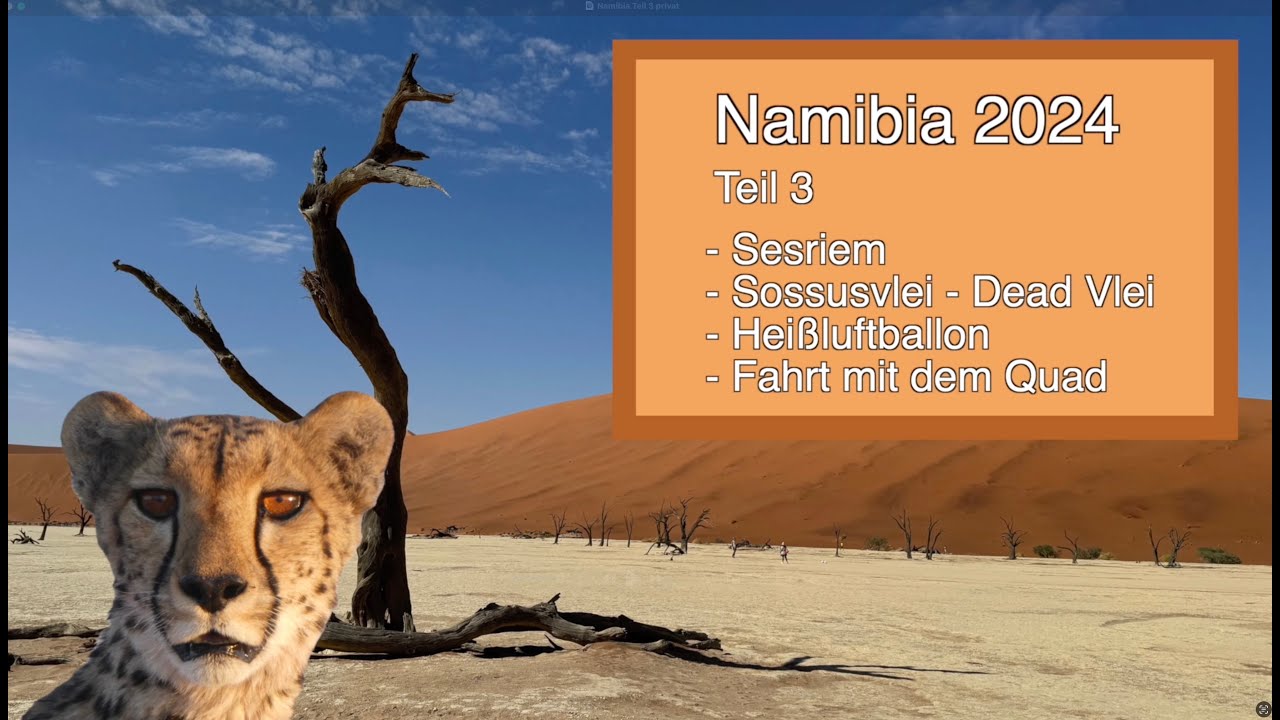 Namibia 2024 - Teil 3 - Reisebericht - YouTube