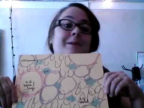 How to Estimate Flower Quantity for Your Flower Wall - YouTube