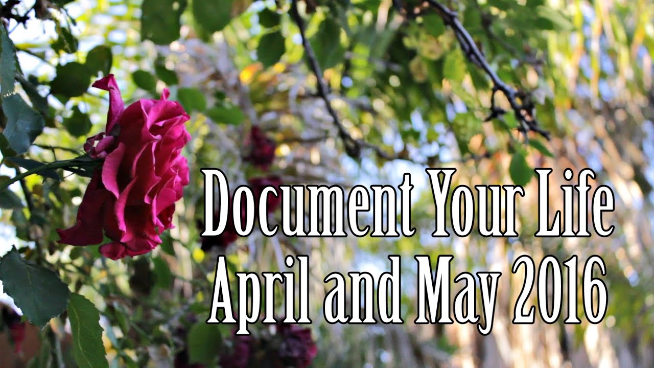 Document Your Life: April-May 2016 - YouTube