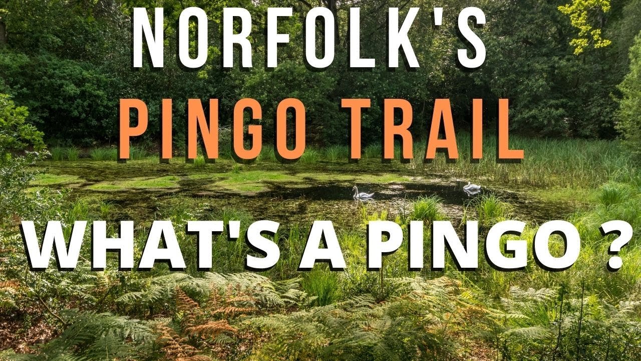 NORFOLK -THE PINGO TRAIL- WHAT'S A PINGO? - YouTube