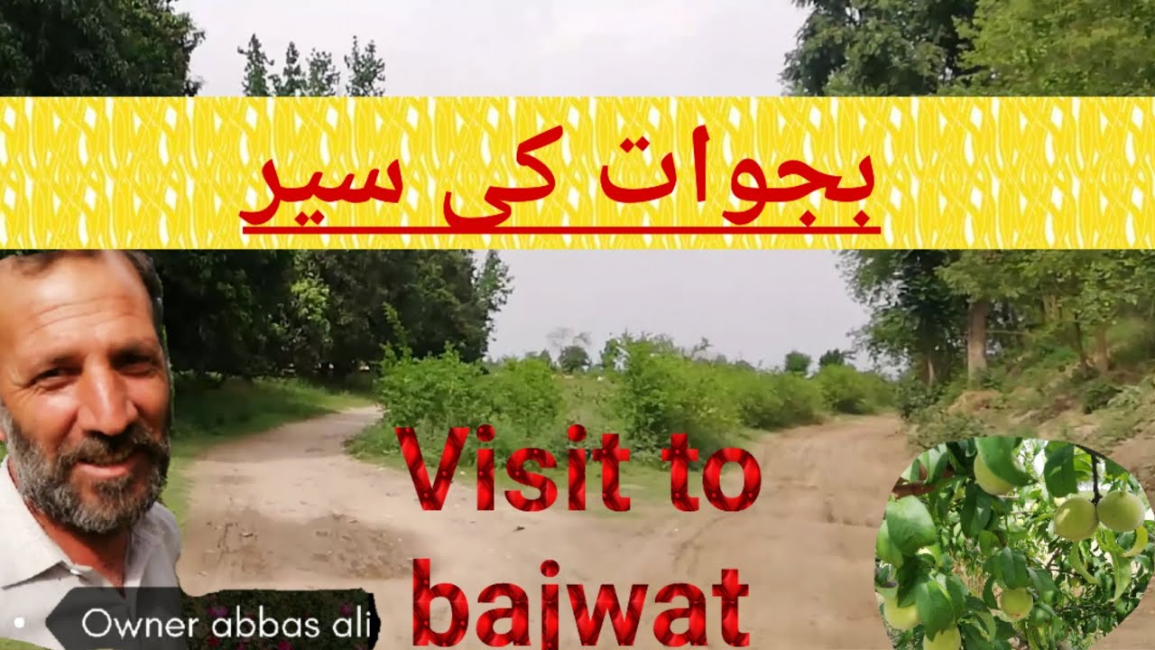 Bajwat visit pul bajuan sialkot بجوات کی سیر پل بجواں سیالکوٹ - YouTube