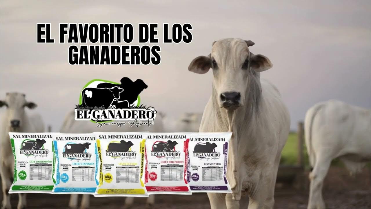 Sales mineralizadas Ganafort y Ganadero - YouTube