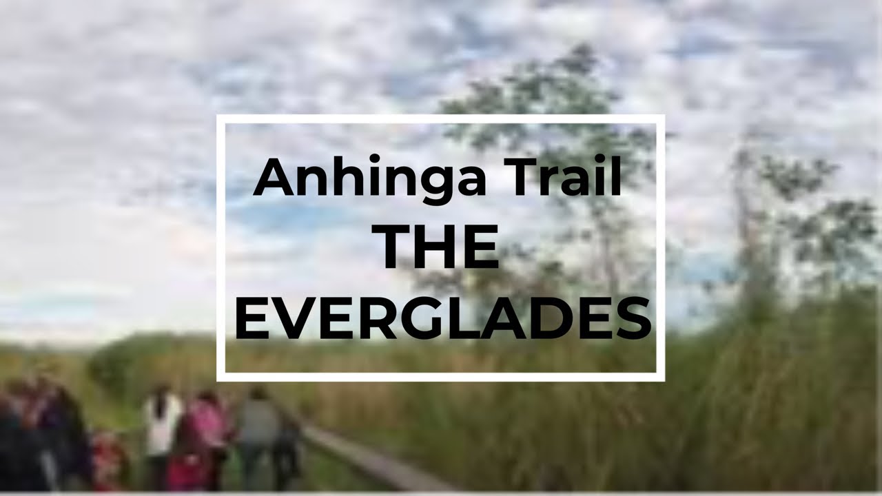 Anhinga Trail walking tour Everglades National Park - YouTube