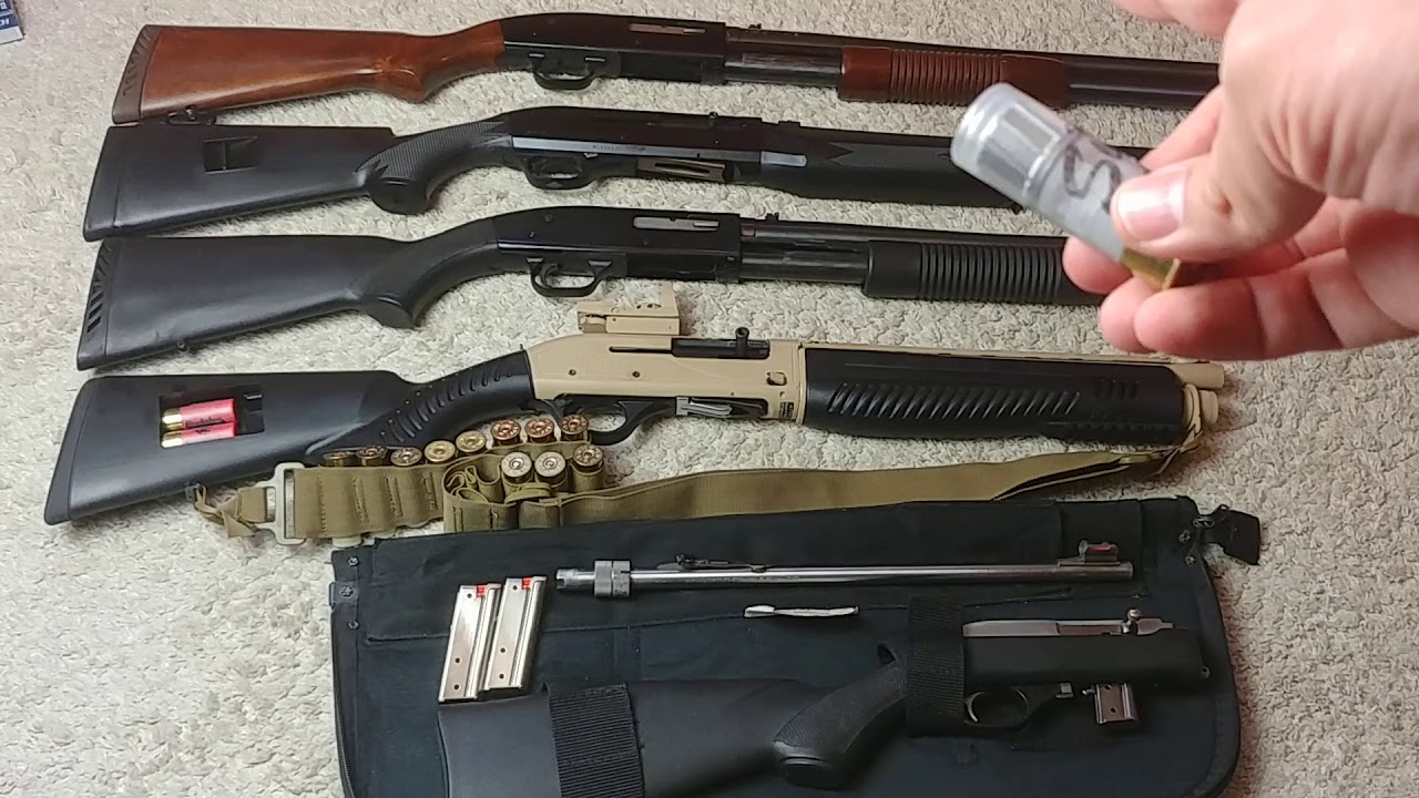 Para Supervivencia: Carabina 22LR o Escopeta semi cal 12? - YouTube