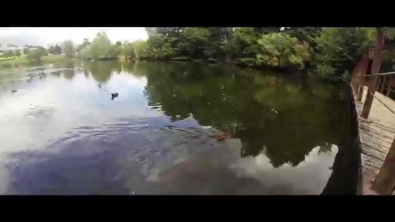 Parc Naturel Pâtis (Ville De Meaux) - YouTube