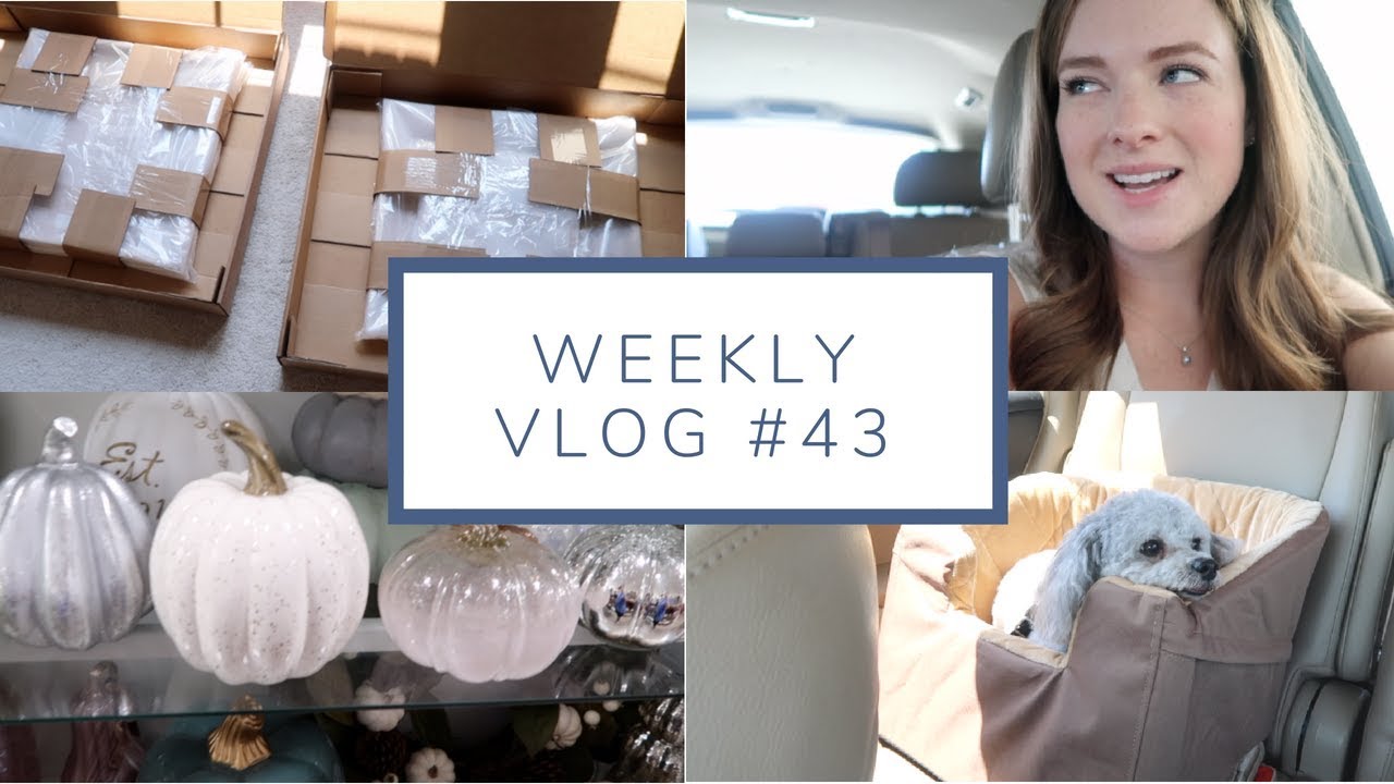 Working on My New Office, HomeGoods Trip, + Birthday Brunch | Weekly ...