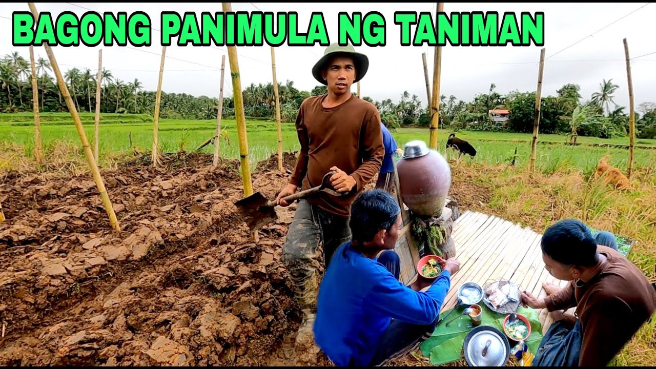 panimula sa bagong taniman - YouTube