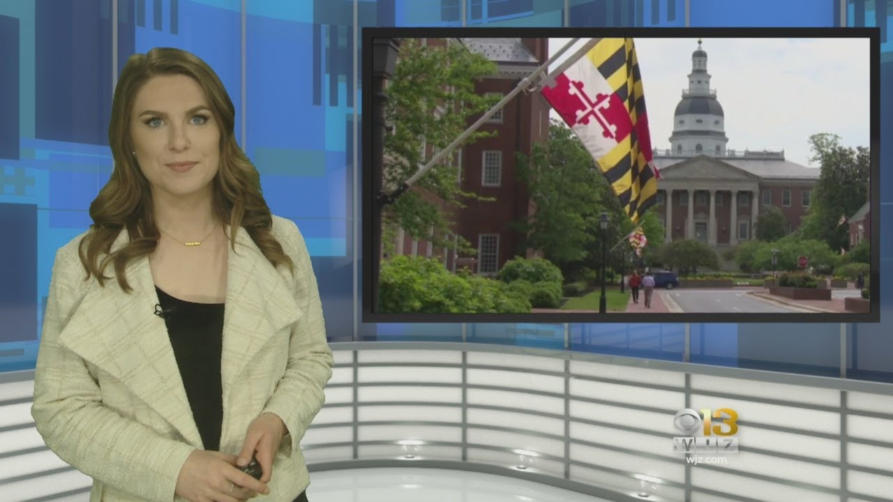 Hogan Appoints Lisa Belcastro To Fill General Assembly Vacancy - YouTube
