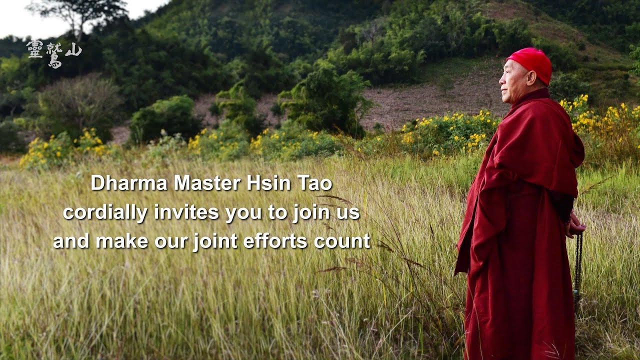 Staying the Course - Dharma Master Hsin Tao on Marine Ecology - YouTube