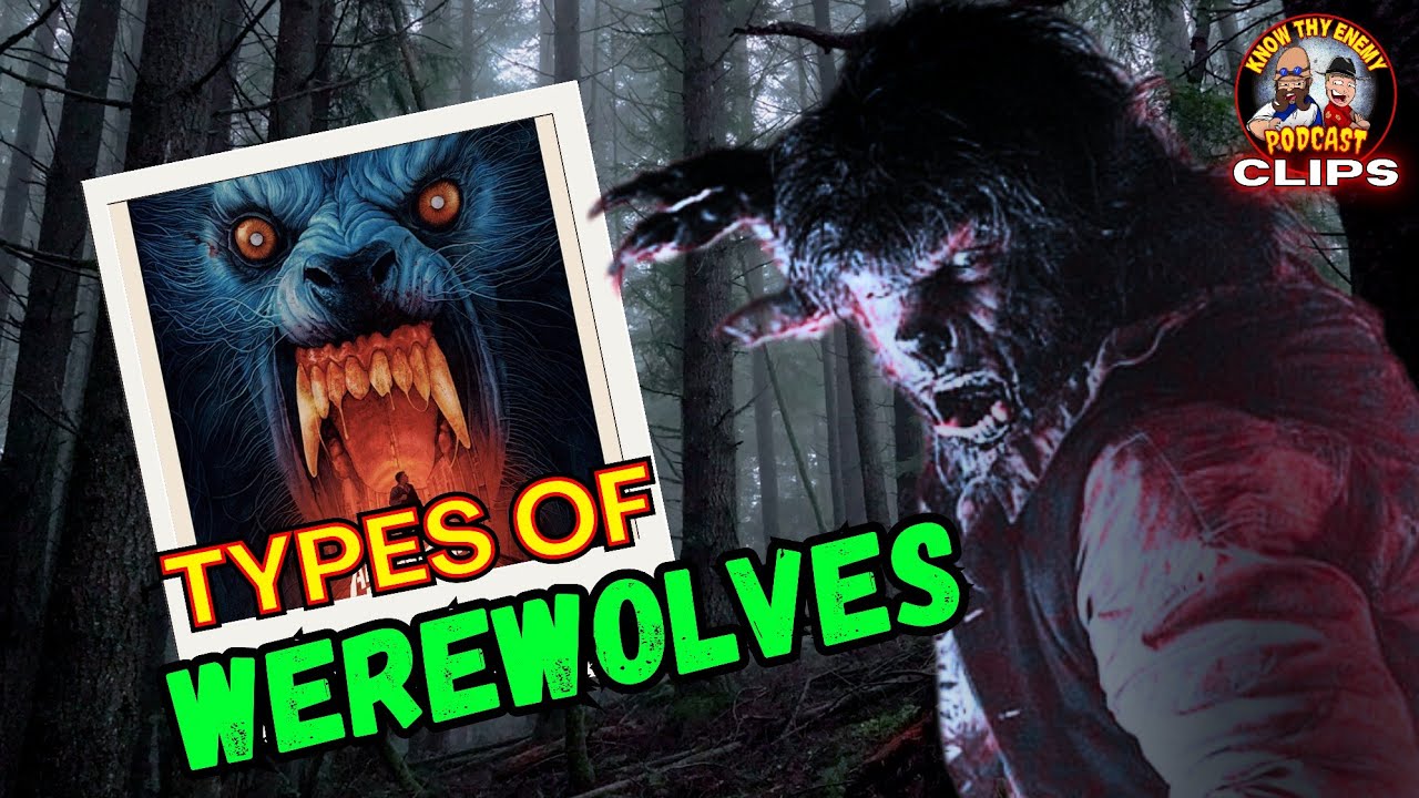 Types of WEREWOLVES | Know Thy Enemy CLIPS. - YouTube