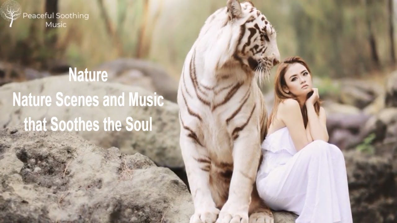 Beautiful relaxing nature scenes- peaceful soothing sleep music that ...