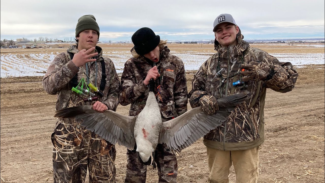 Day 2 of Colorado Goose hunt - YouTube