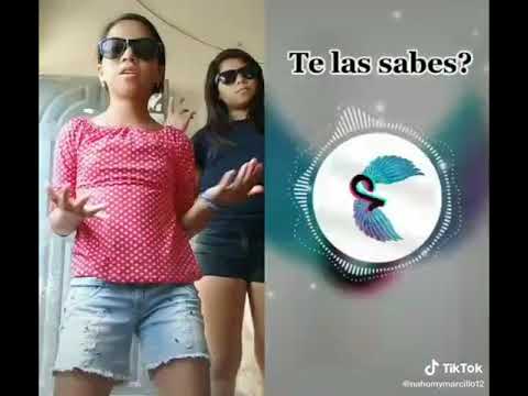 jeje tiktok