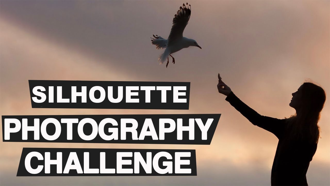 Silhouette Photography Challenge - YouTube