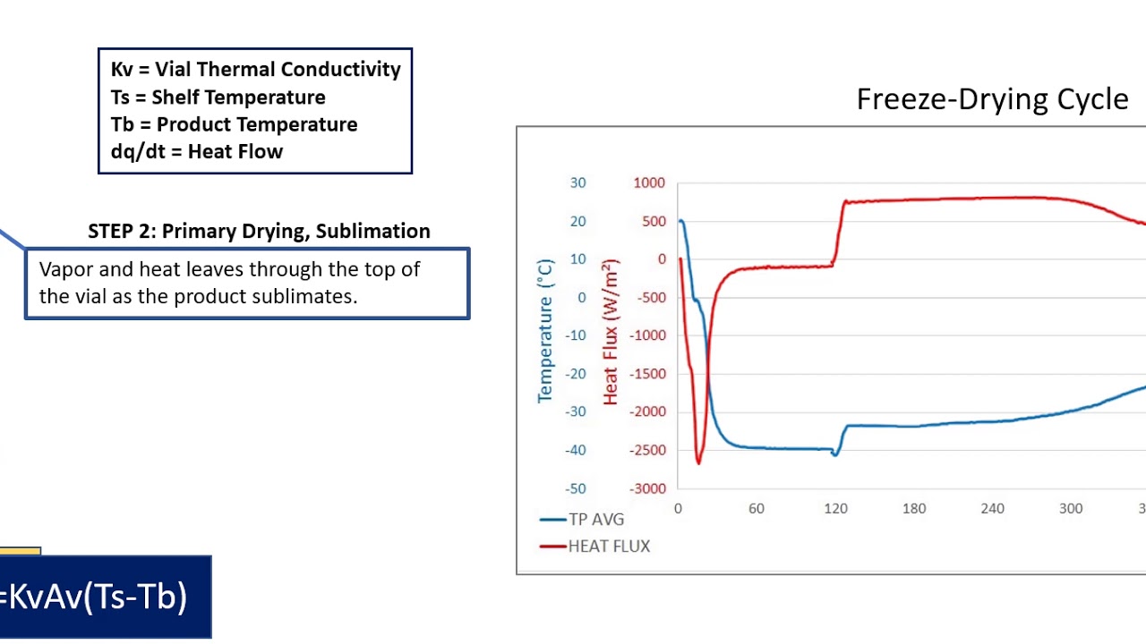 AccuFlux® - Heat Flux Monitoring & Control for Freeze Dryers - Longer ...
