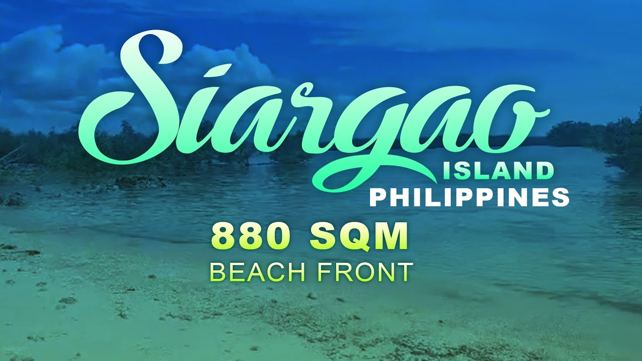 880 SQM Beach Front For Sale in Salvacion General Luna Siargao Island ...