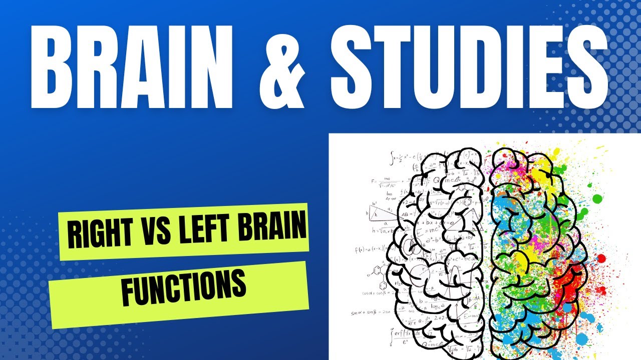 Brain and Study II How do we utilize our right and left brain for ...