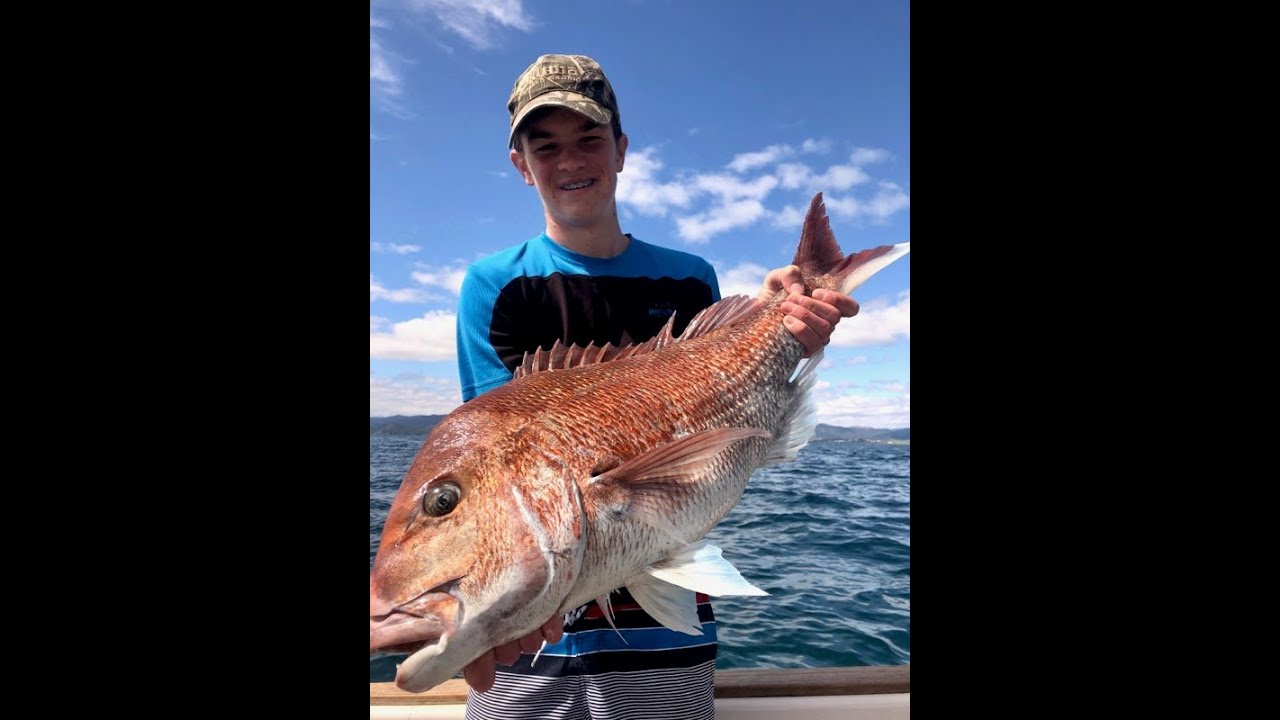 Junior NZ Snapper Record on 1kg line! - YouTube