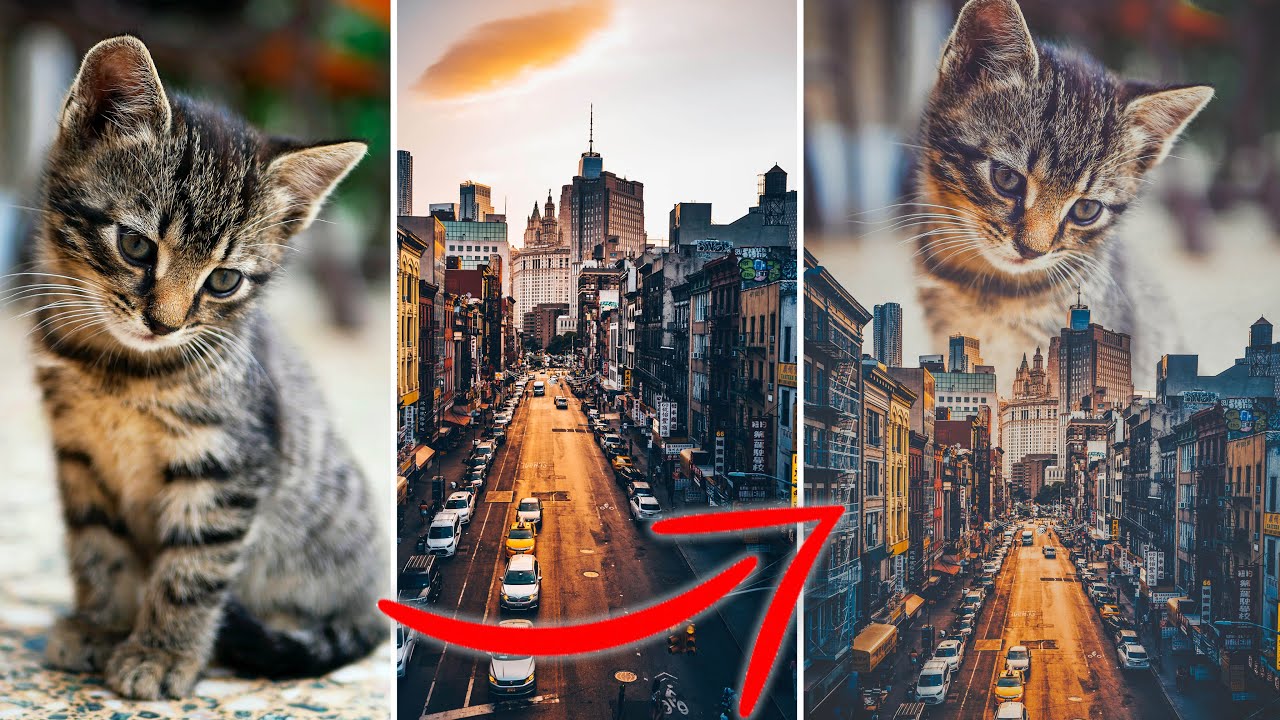 Photoshop Manipulation Cat | Photoshop Manipulation Tutorial - YouTube