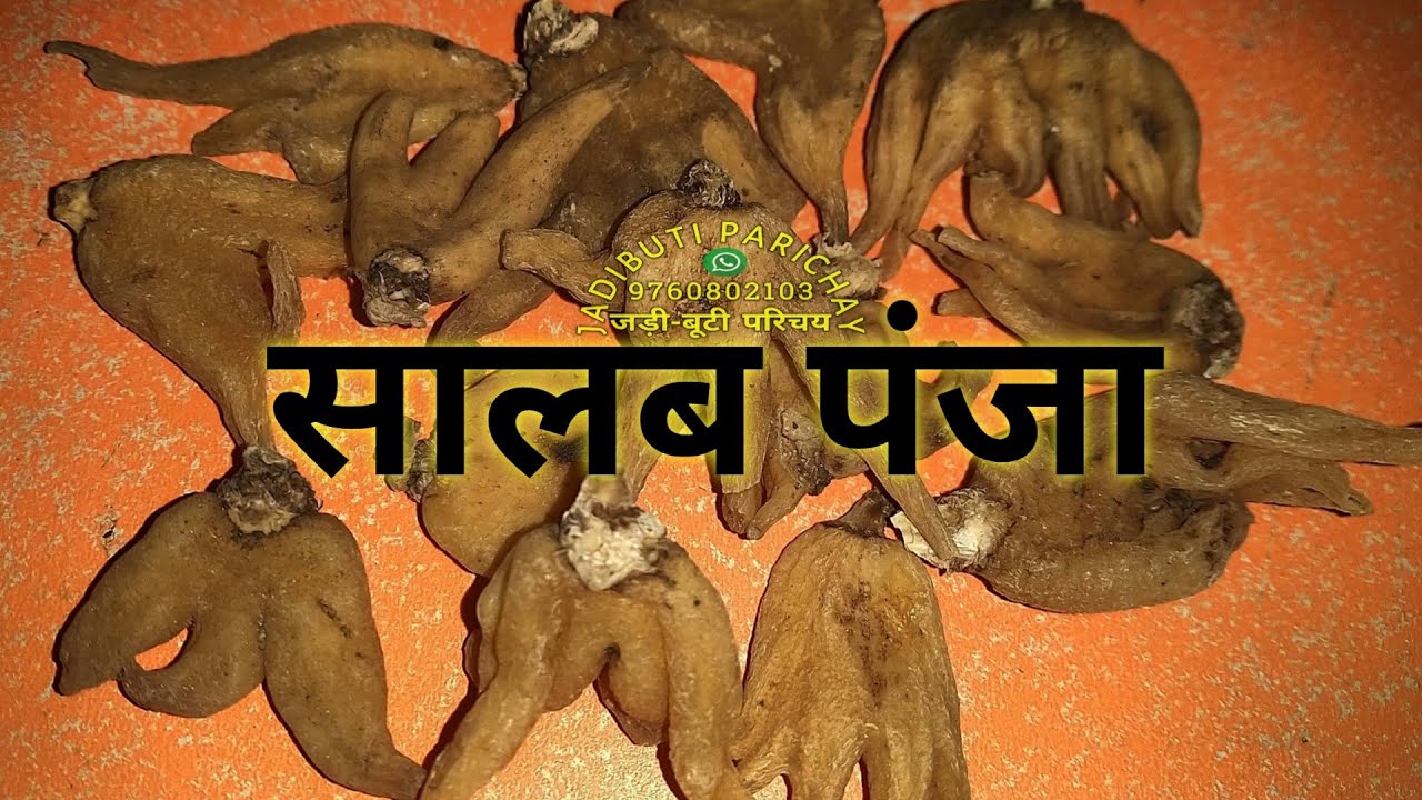 Salab panja सालब पंजा # all types of Ayurvedic and Unani and deshi Jadi ...