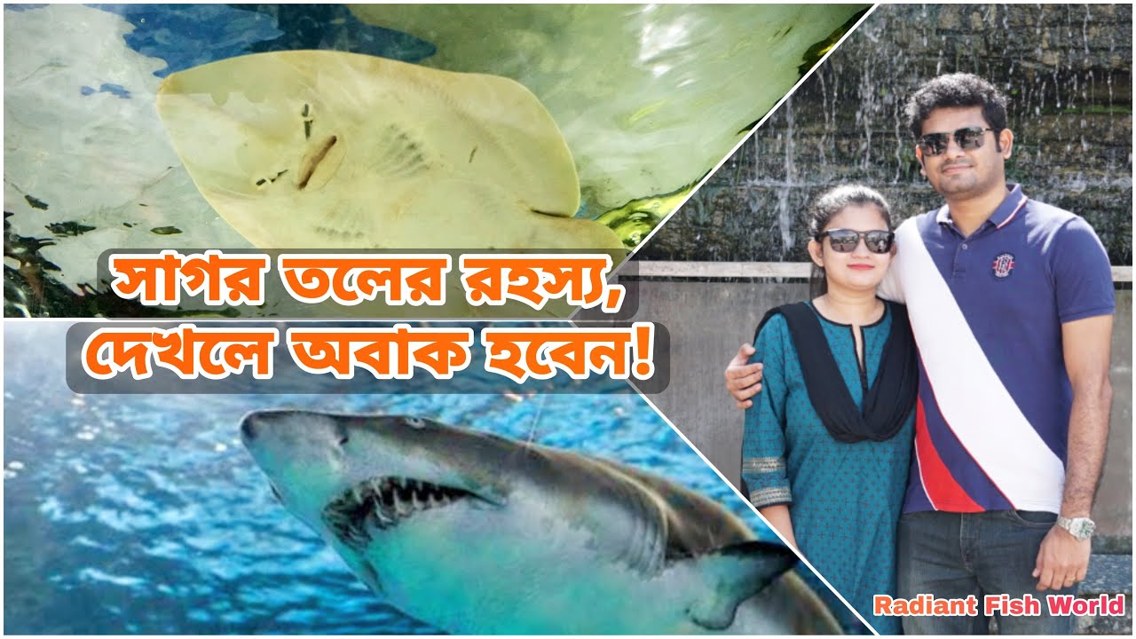 Radiant Fish World Cox's Bazar | Ticket Price | সাগরতলের রহস্য | 4K ...