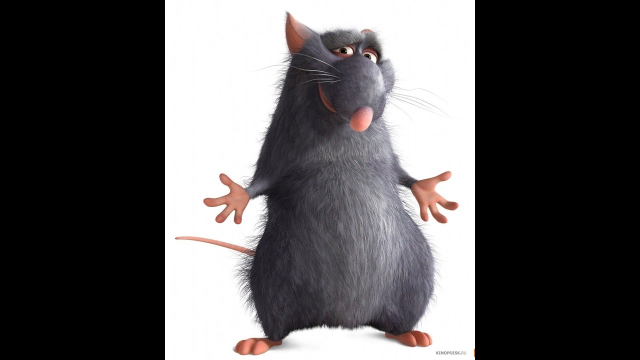 🧀🐀 #7 - YouTube