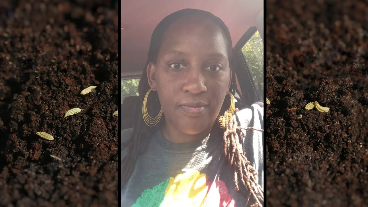 Encouragement, Dormant Seeds SUDDENLY Spring Forth! - YouTube