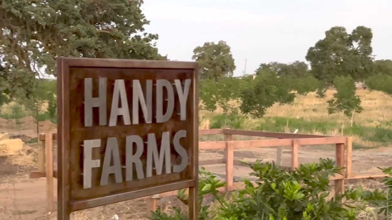 Handy Farms Organic Red Walnut Farm is growing in California - YouTube
