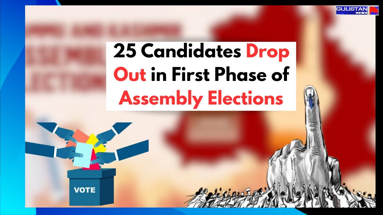 BSP Nominee and DDC Member Emerge Victorious as Four DPAP Candidates ...