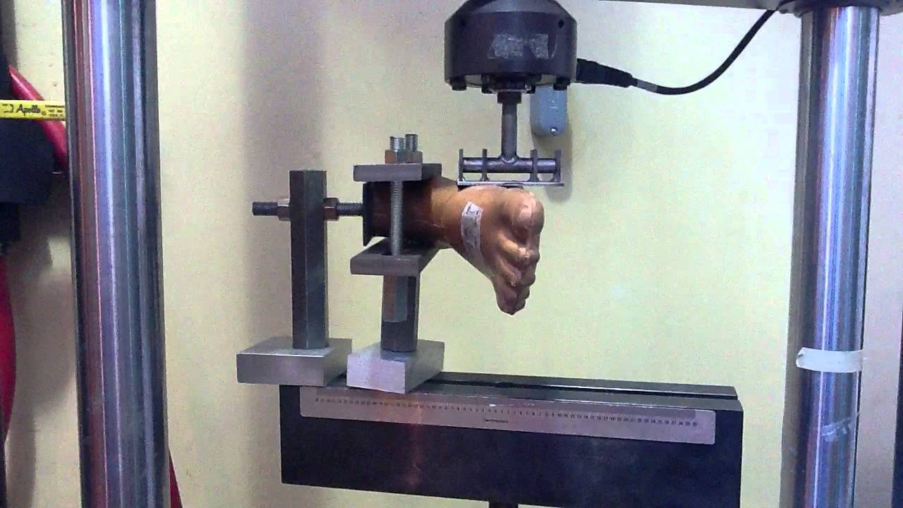 Jaipur Foot Outward Ankle Rotation Back Position 40kgf - YouTube