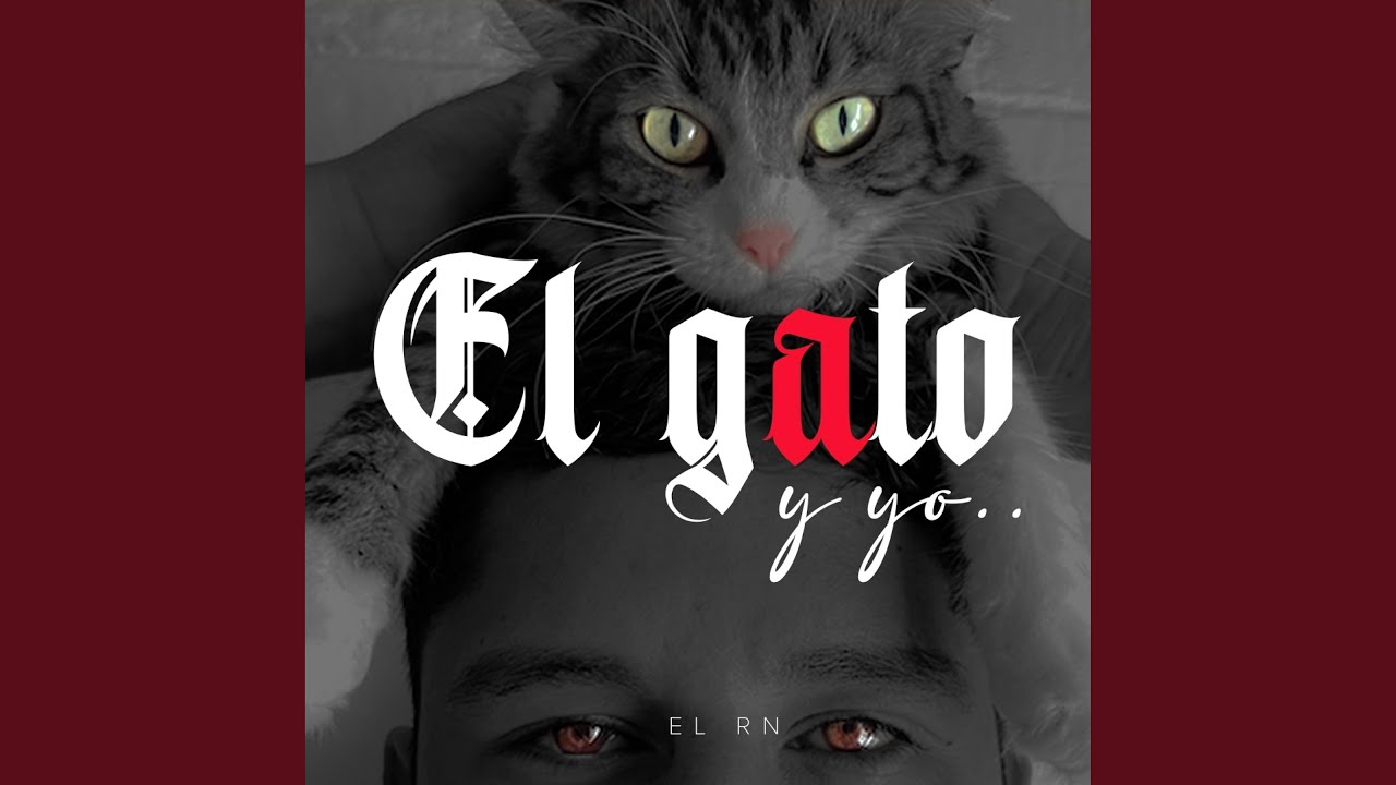 El gato y yo - YouTube