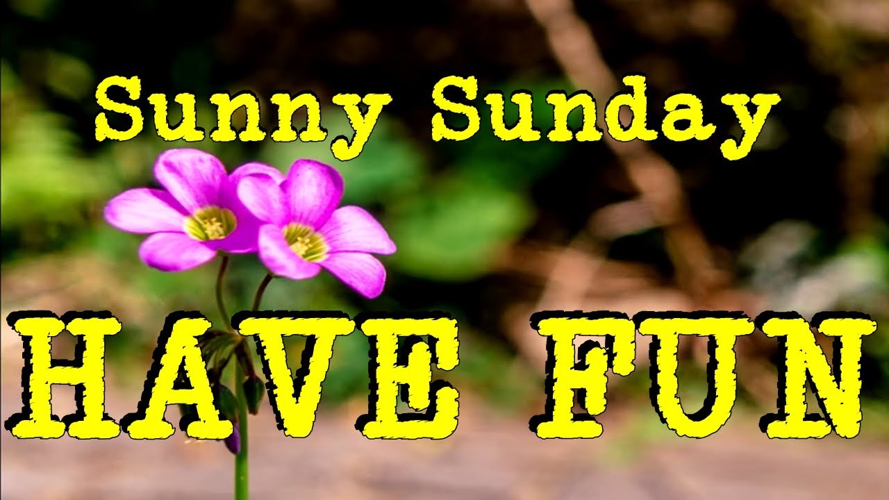 Sunny Sunday - Have Fun - YouTube
