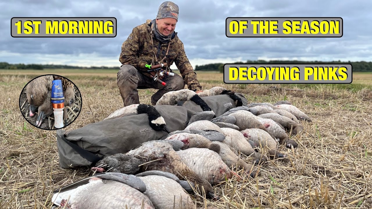 Decoying Geese !!! 1st Morning Of The Season Decoying Pinks - YouTube