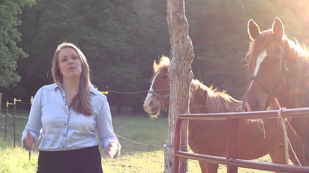 Adria Haley's "One Degree Away" Lipscomb Scholarship entry - YouTube
