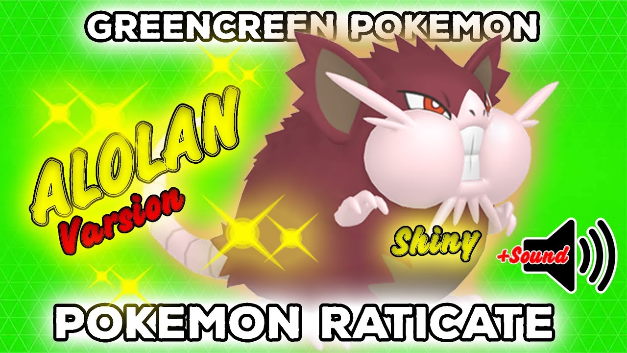 Pokemon Raticate Alolan Shiny | GreenScreen | Pokémon GO | 👍POGOTUBE ...