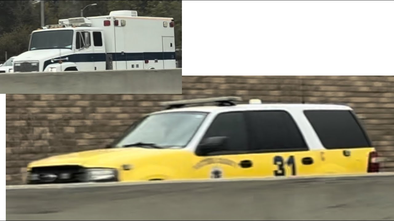 *EXTREMELY RARE* Ventura County Fire Dept. Battalion Chief 31 & EH ...