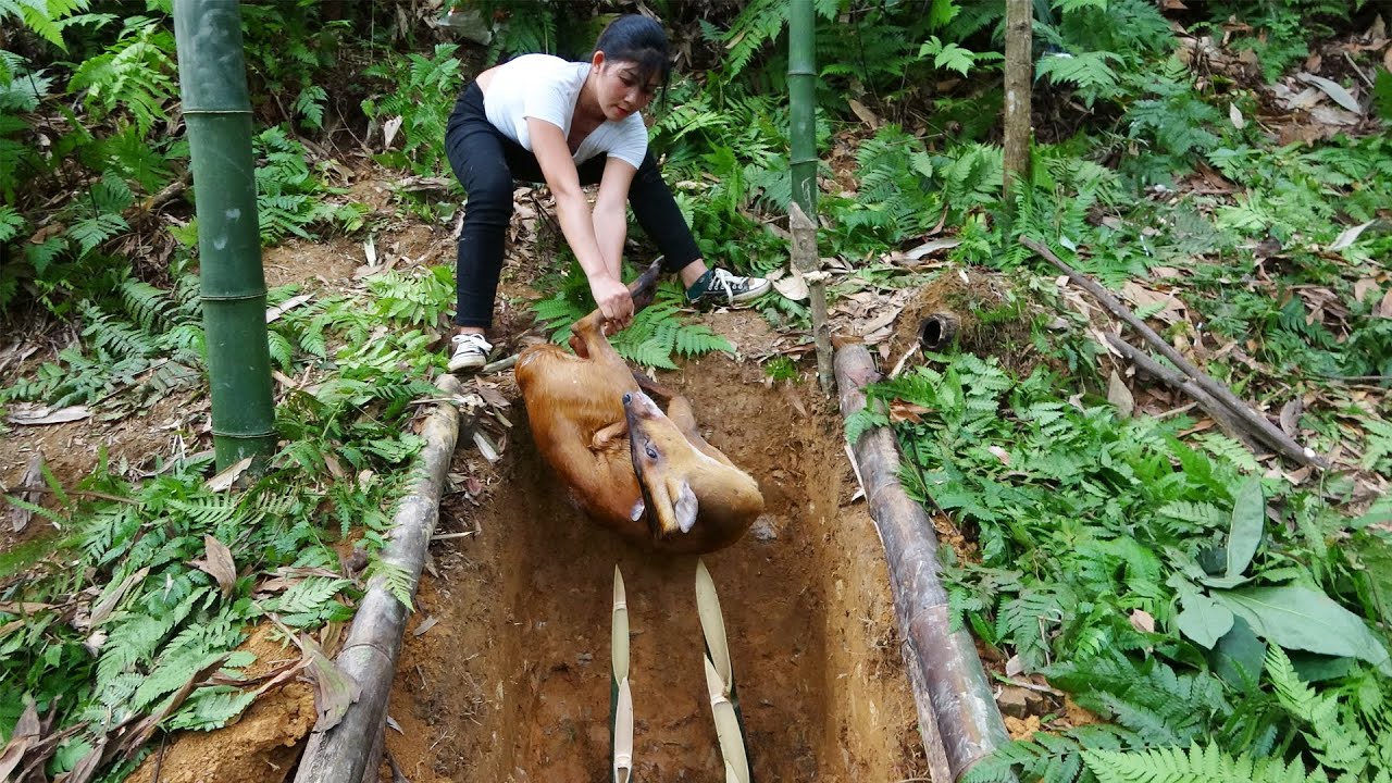 Creating primitive traps with good results - Survival skills in the ...