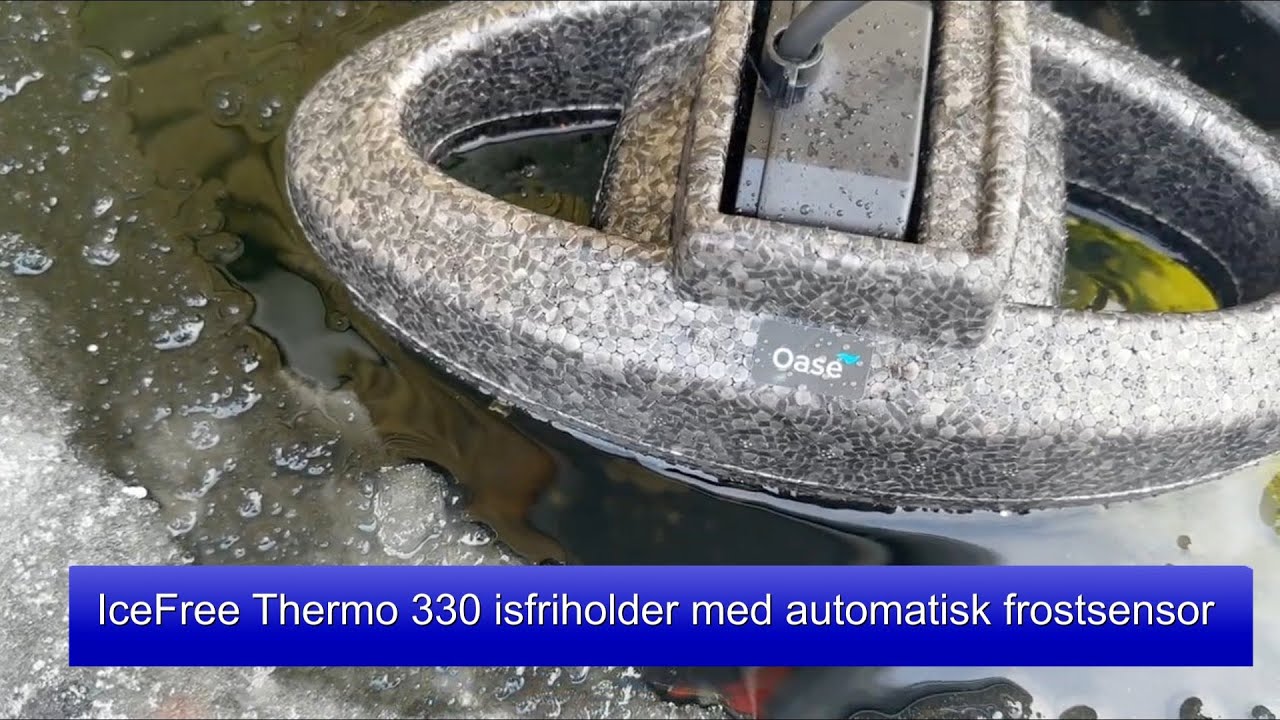 Isfri havedam med IceFree Thermo 330 isfriholder med automatisk ...