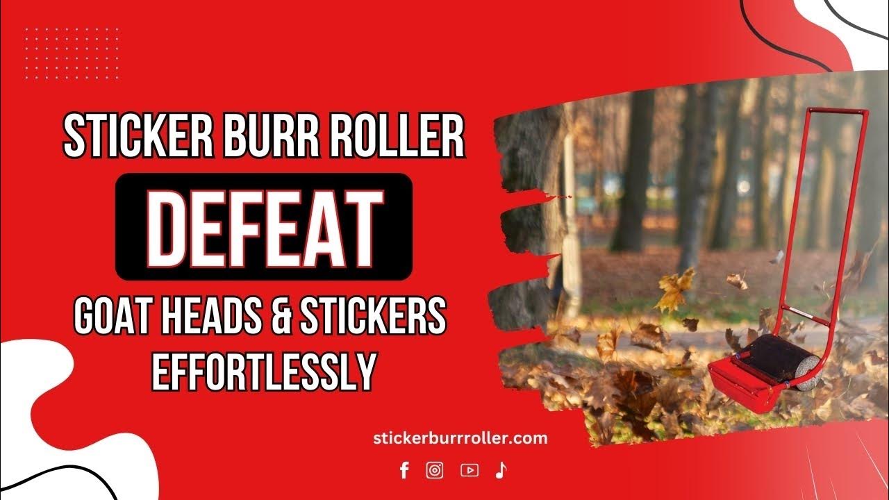 At Sticker Burr Roller Continuing To Win The Battle With Goat Heads And at-sticker-burr-roller-continuing-to-win-the-battle-with-goat-heads-and