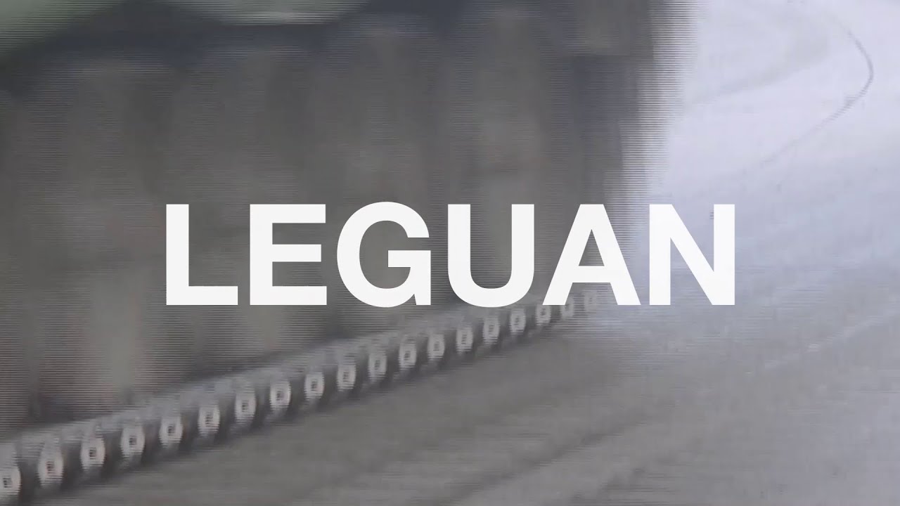 LEGUAN: High-performance interoperable bridge system - YouTube