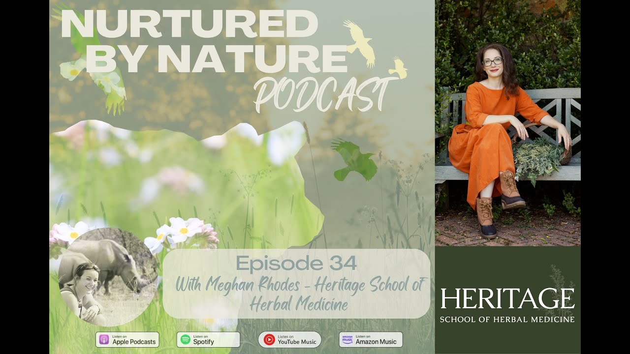 How Herbal Medicine can support Modern Lives with Meghan, Rhodes Roots ...