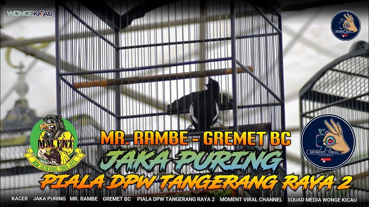 KACER JAKA PURING MILIK MR. RAMBE DARI GREMET BC KONCER DI PIALA DPW ...