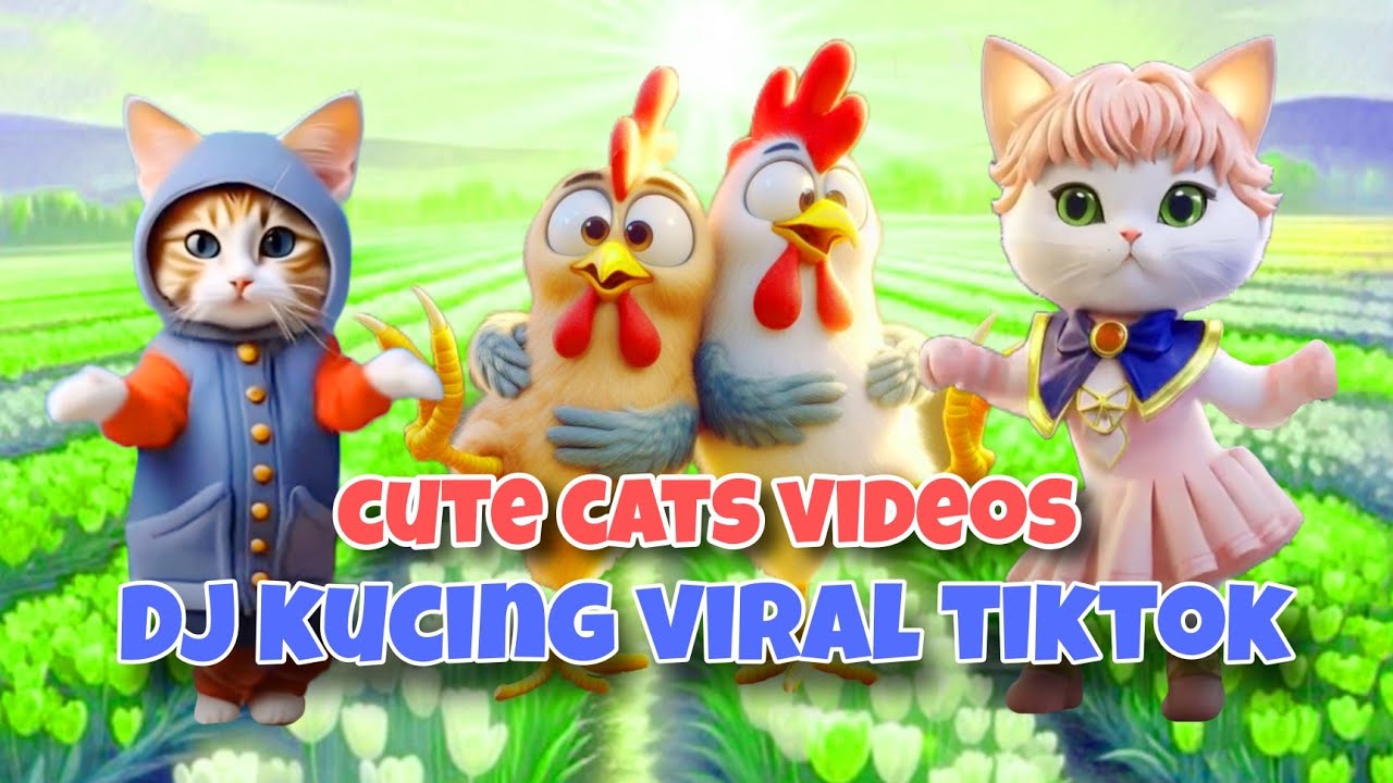 DJ KUCING MEONG MEONG VERSI CUTE CATS VIDEOS, CUTE CHIKEN, MEOW MEOW ...