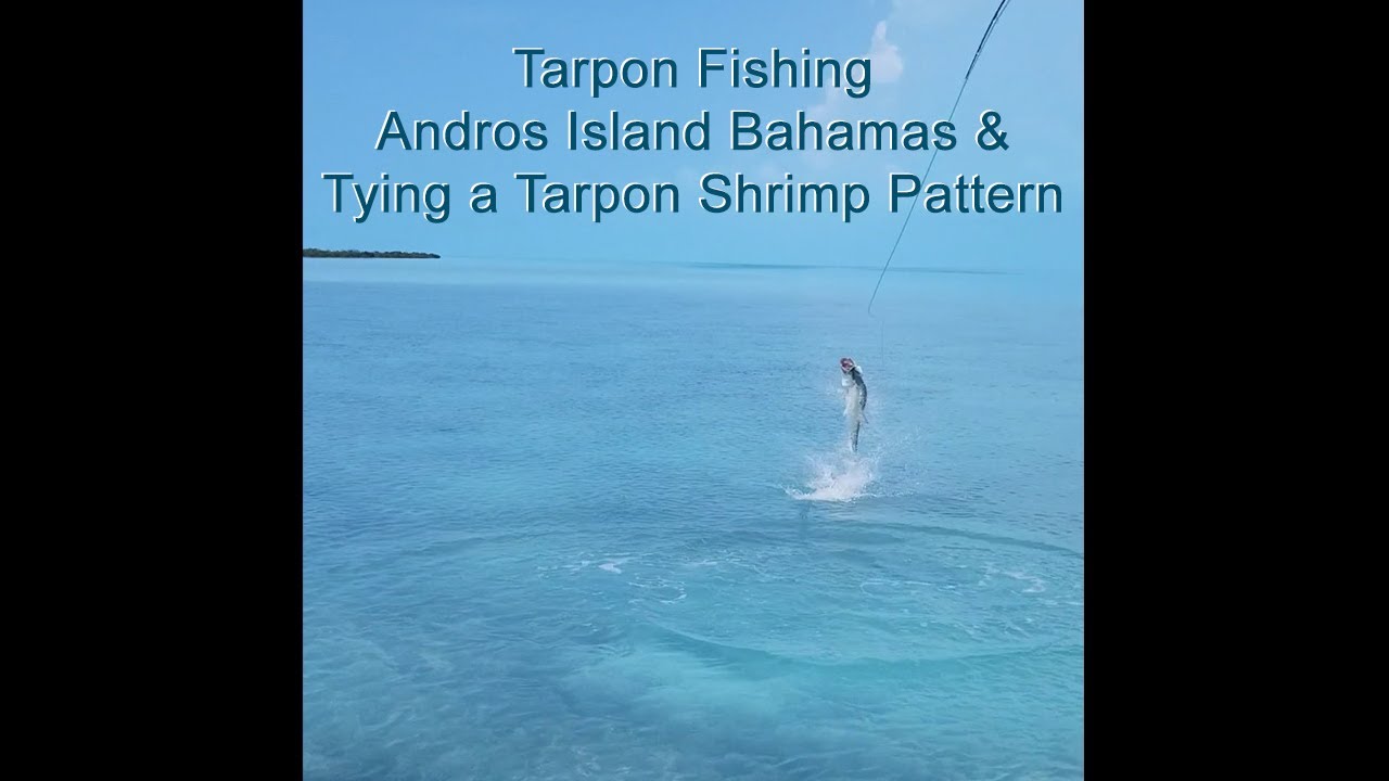 Bahamas Tarpon Fishing and Fly Tying - YouTube
