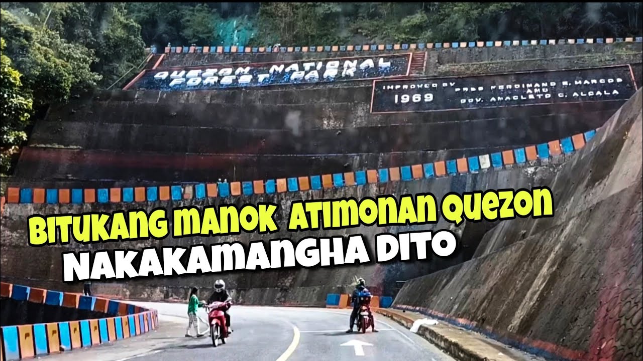 bitukang manok atimonan quezon - YouTube