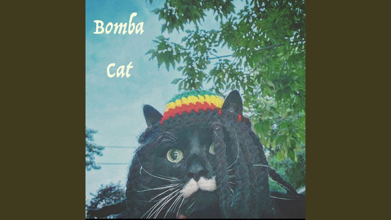 Bomba Cat - YouTube
